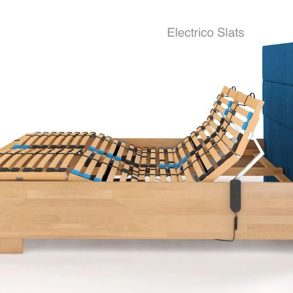 SPECTRUM Pine Bed - D40Studio